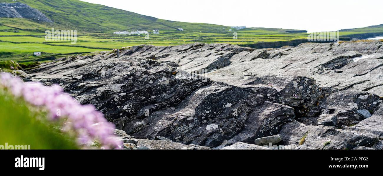 Rough and rocky shore along famous Ring of Kerry route. Rugged coast of ...