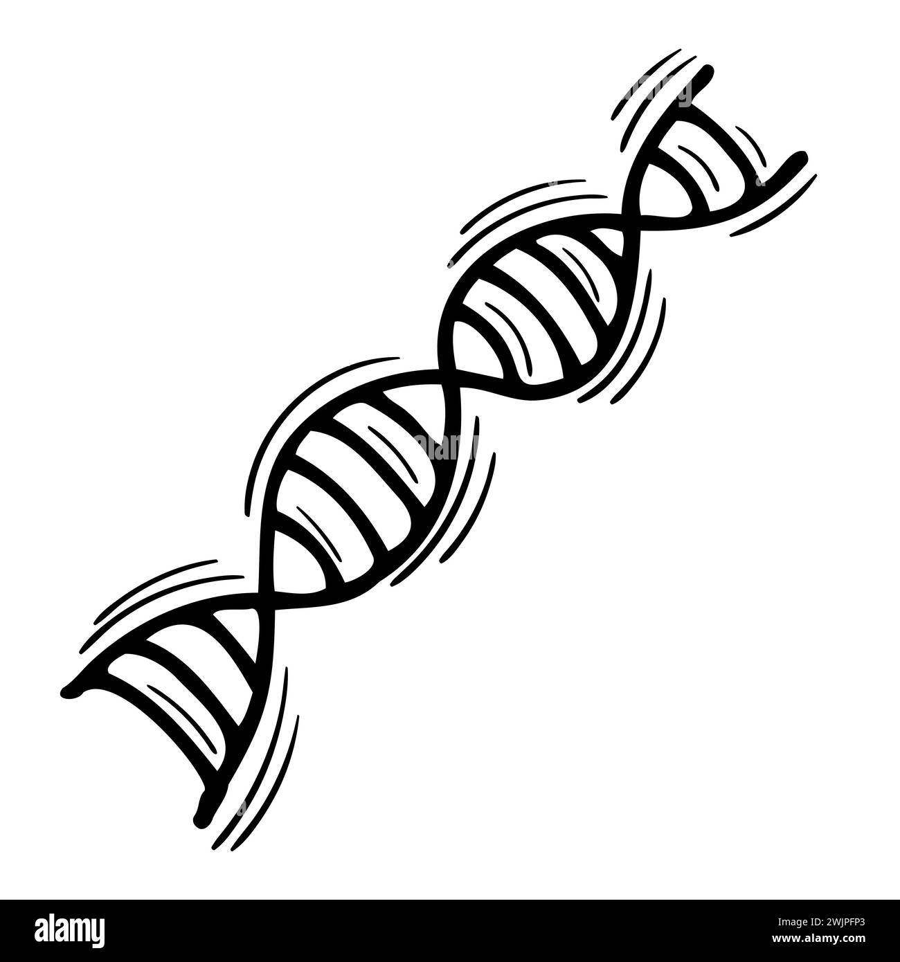 Hand drawn DNA outline icon isolated on white background. DNA spiral ... Hand drawn DNA outline icon isolated on white background. DNA spiral ...