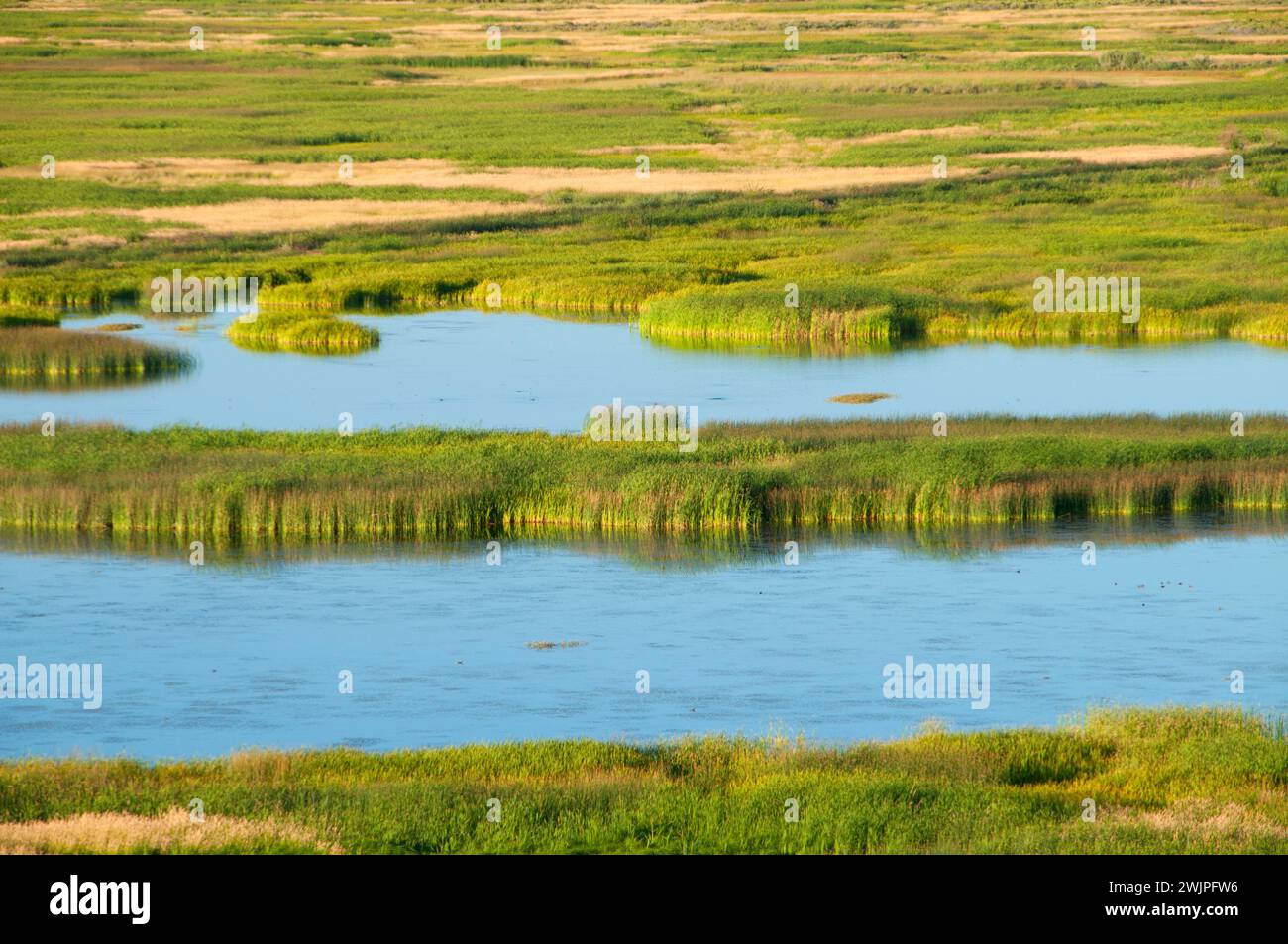 Buena Vista Pond, Malheur National Wildlife Refuge, High Desert ...