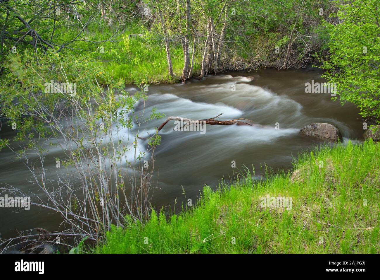Little Blitzen River from Little Blitzen Gorge Trail, Donner und ...