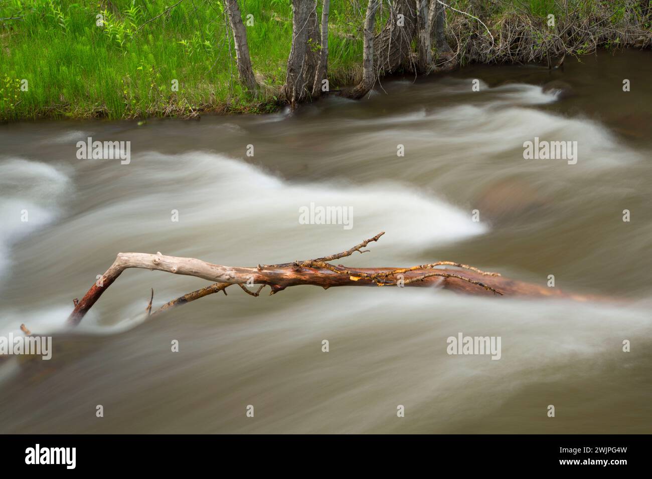 Little Blitzen River from Little Blitzen Gorge Trail, Donner und ...