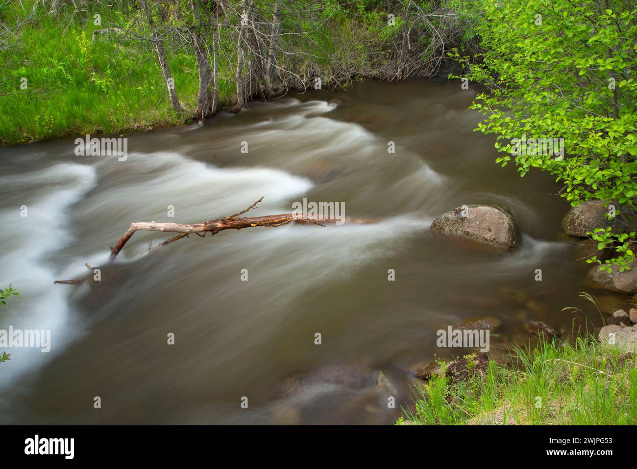 Little Blitzen River from Little Blitzen Gorge Trail, Donner und ...
