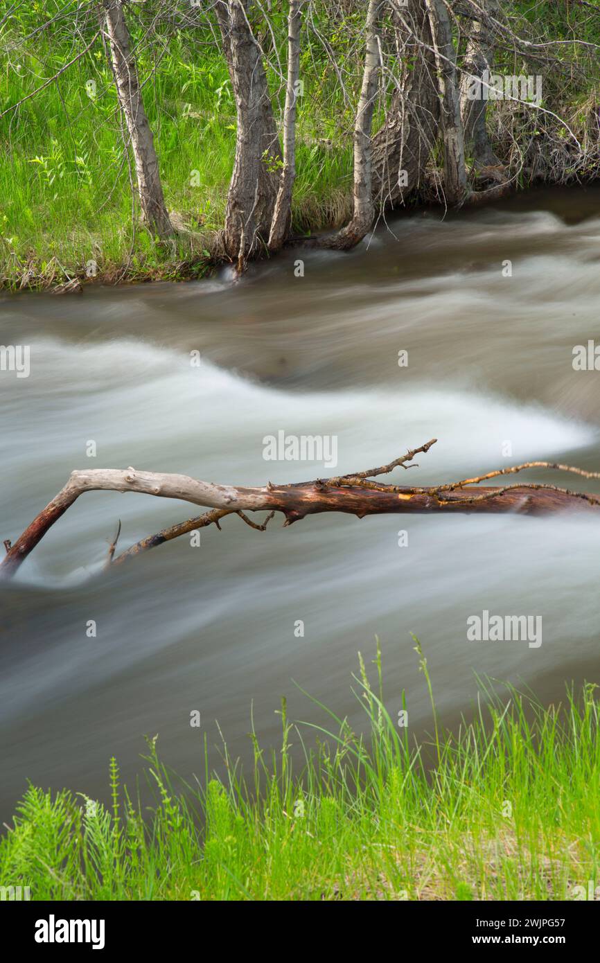 Little Blitzen River from Little Blitzen Gorge Trail, Donner und ...