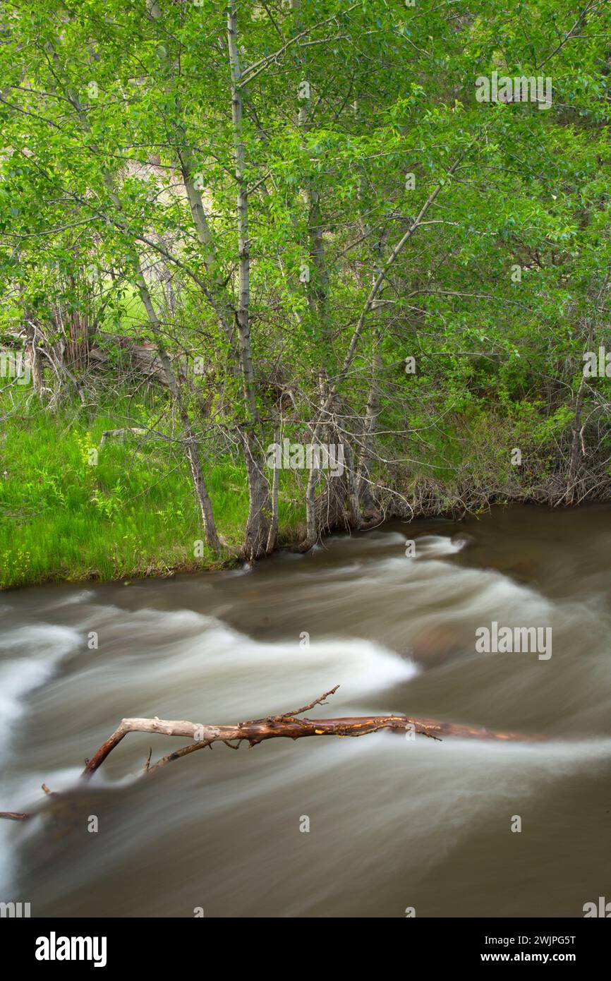 Little Blitzen River from Little Blitzen Gorge Trail, Donner und ...