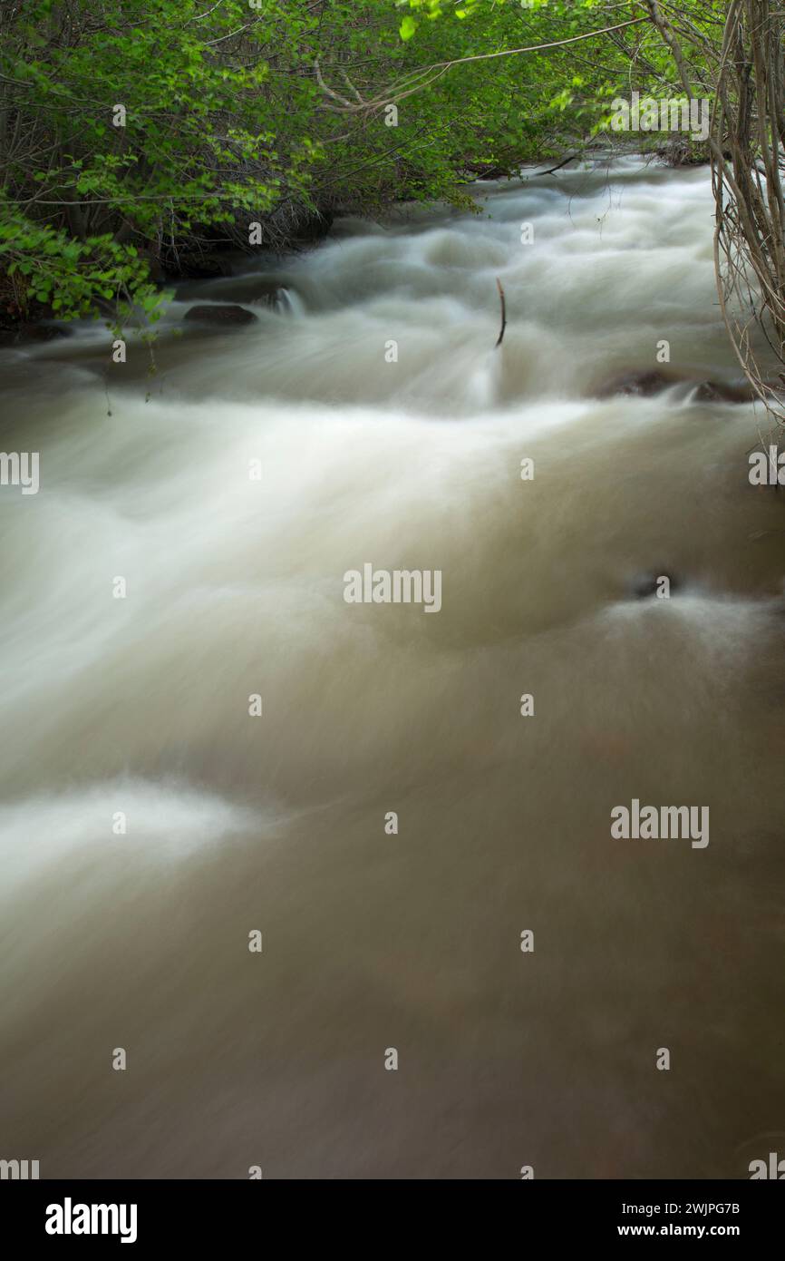 Little Blitzen River from Little Blitzen Gorge Trail, Donner und ...