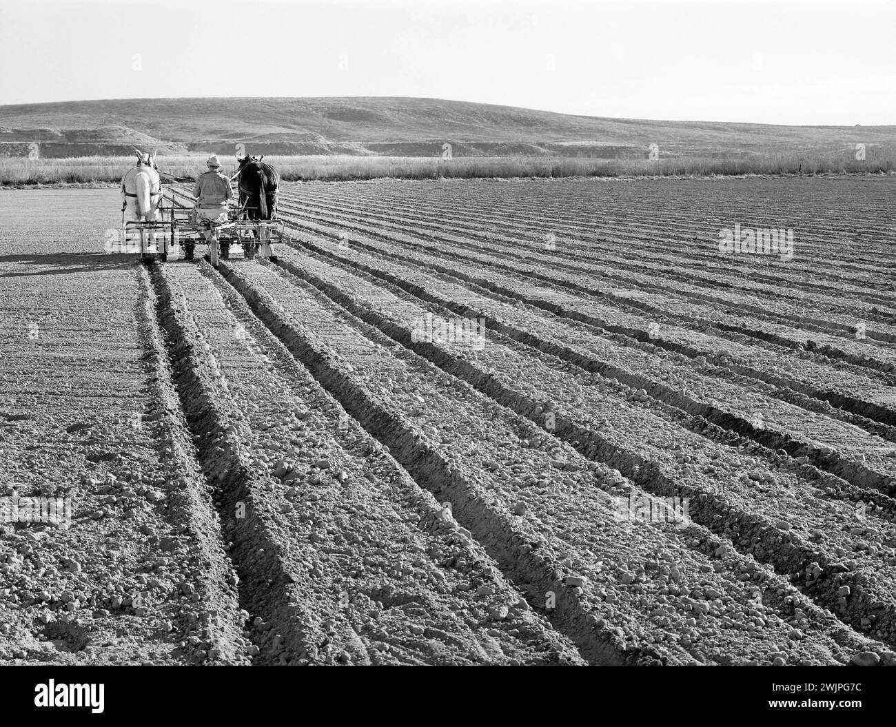 Old fashioned farmer rear view hi-res stock photography and images - Alamy