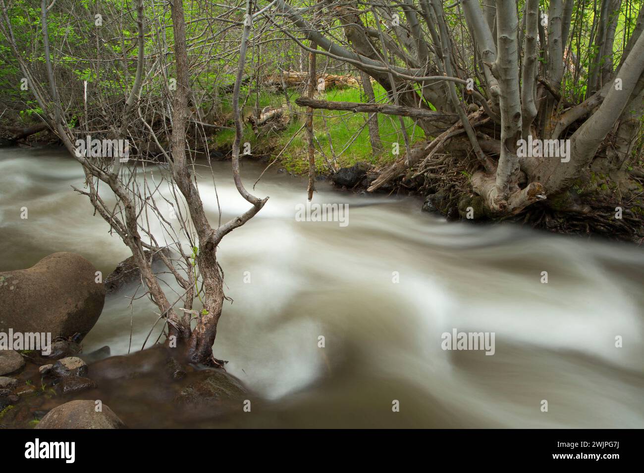 Little Blitzen River from Little Blitzen Gorge Trail, Donner und ...