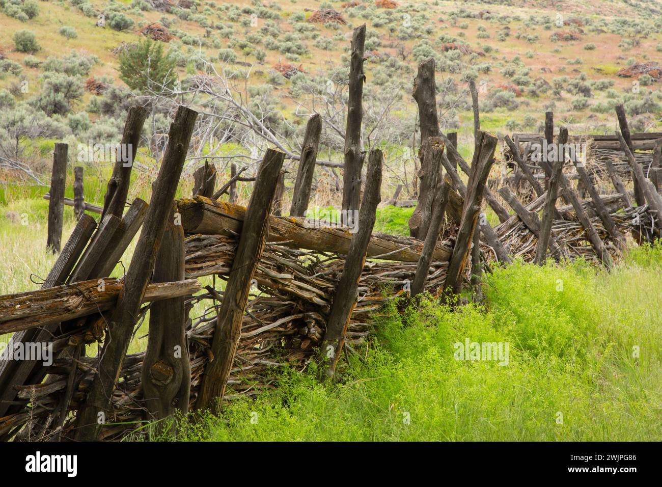 Ranch fence on Barnes Springs Trail, Malheur National Wildlife Refuge ...