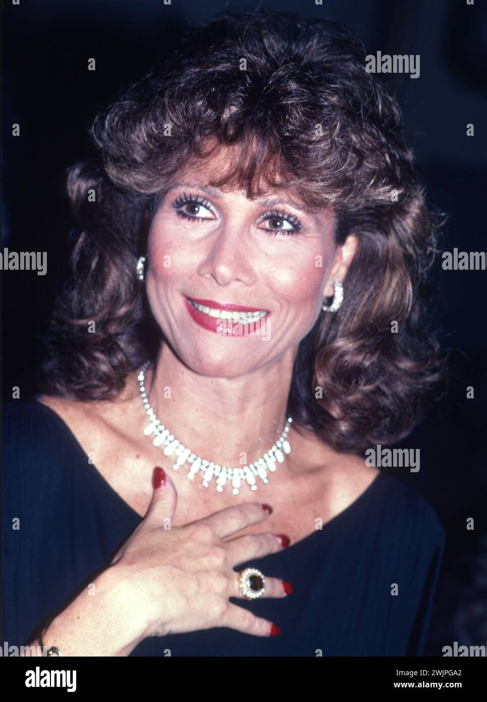 1985 Michele Lee John Barrett/PHOTOlink Stock Photo - Alamy