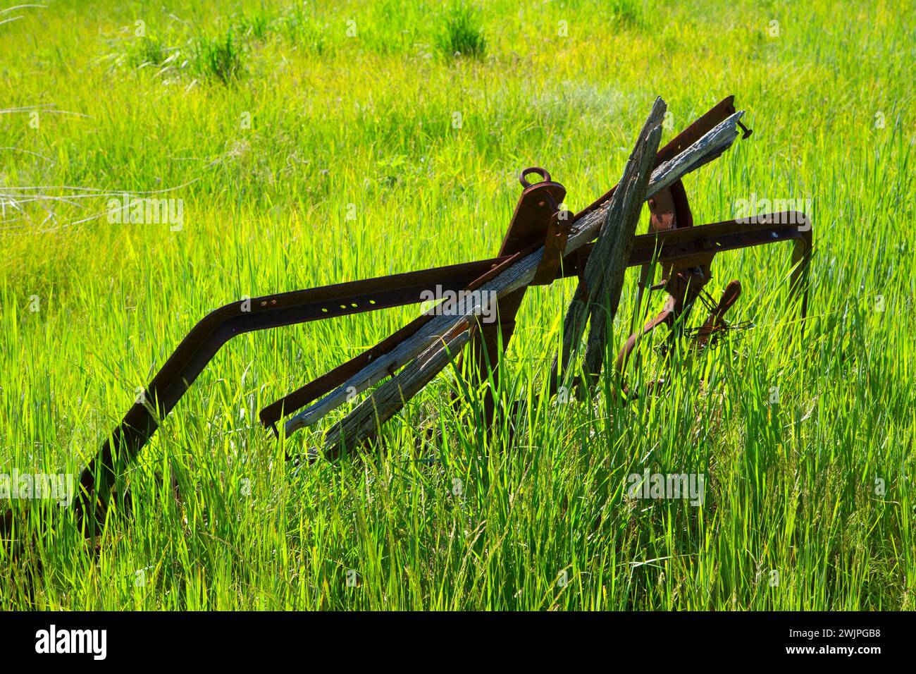 Farm implement in meadow, Riddle Brothers Ranch National Historic ...