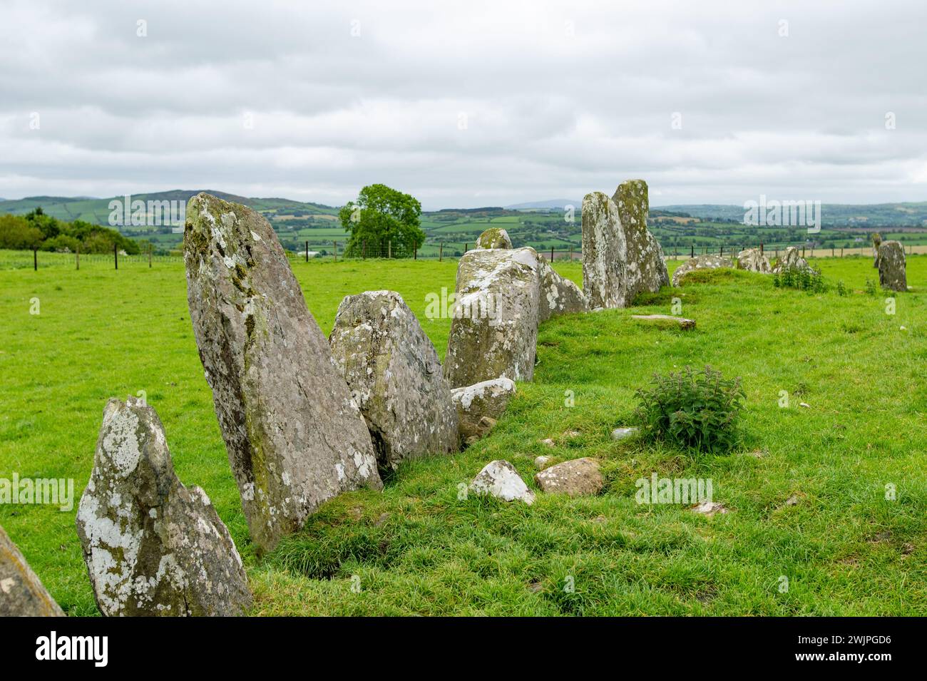 Beltany stone circle, an impressive Bronze Age ritual site located to ...