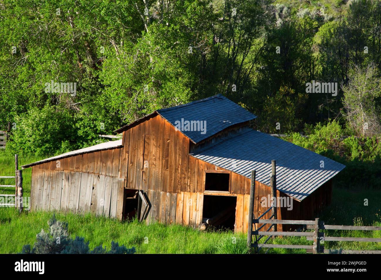 Barn, Riddle Brothers Ranch National Historic District, Donner und ...