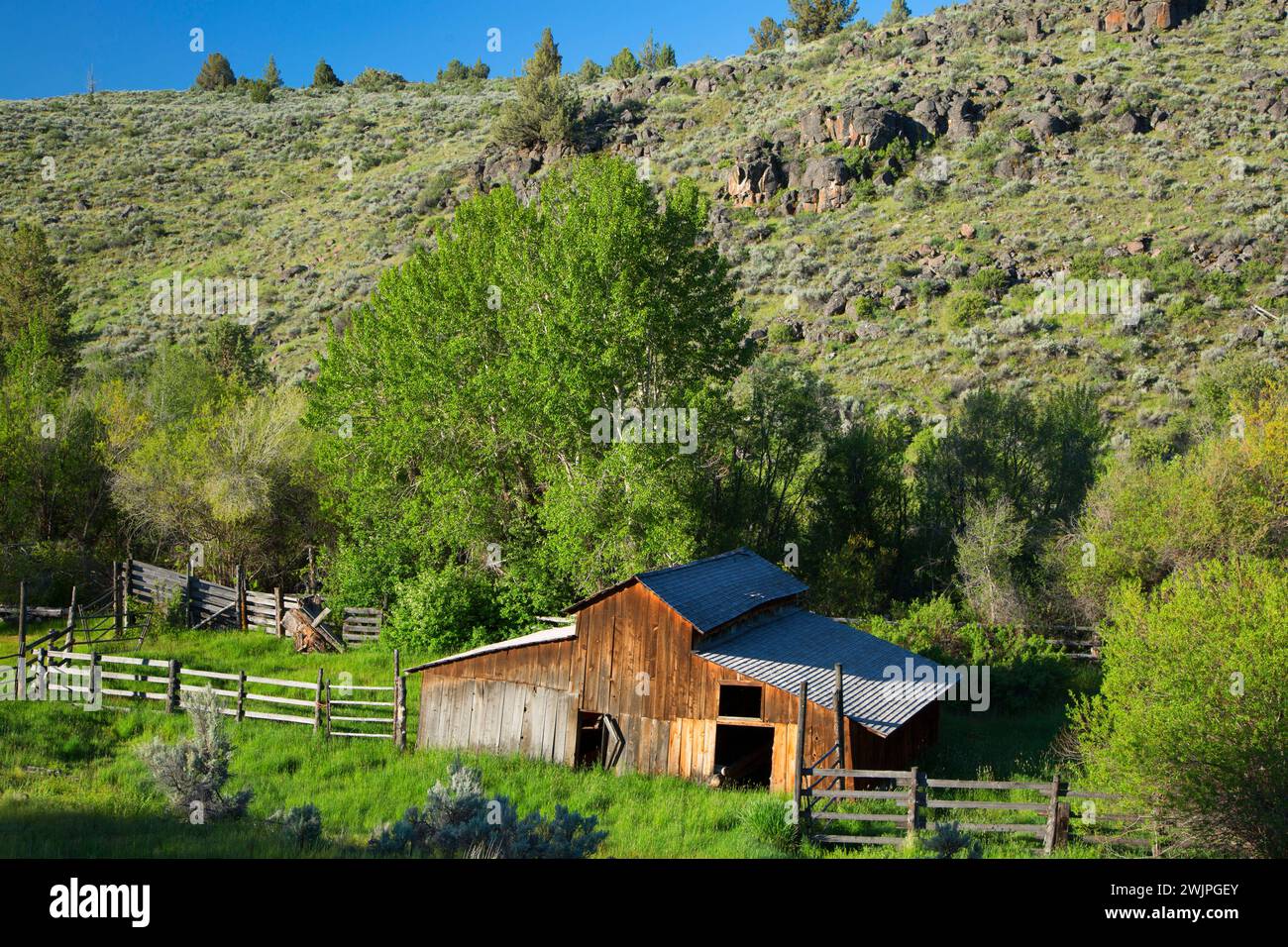 Barn, Riddle Brothers Ranch National Historic District, Donner und ...