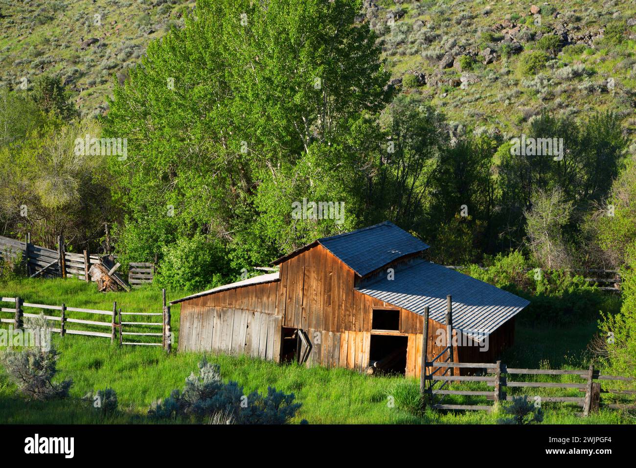 Barn, Riddle Brothers Ranch National Historic District, Donner und ...