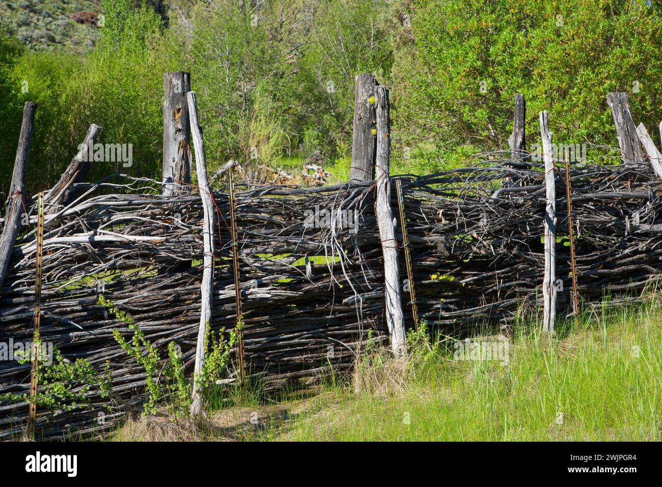 Ranch corral, Riddle Brothers Ranch National Historic District, Donner ...