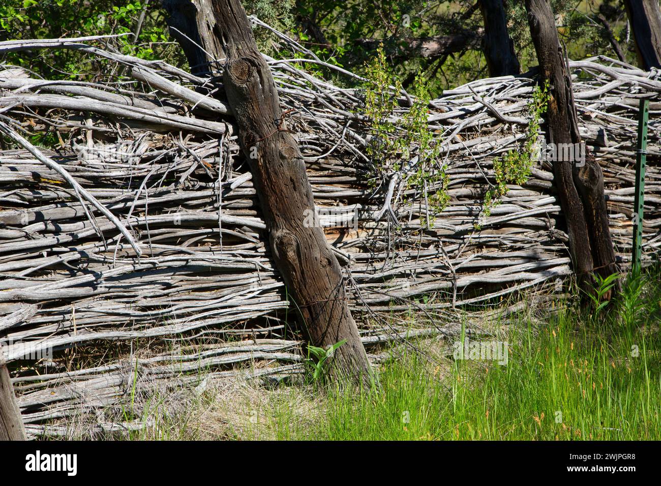 Ranch corral, Riddle Brothers Ranch National Historic District, Donner ...