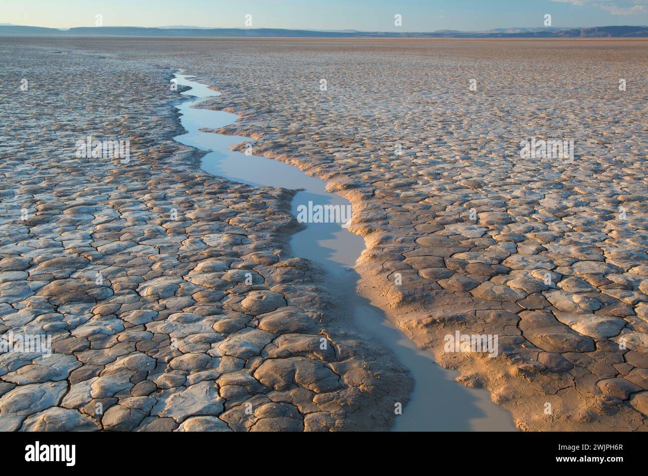 Desert puddle hi-res stock photography and images - Alamy