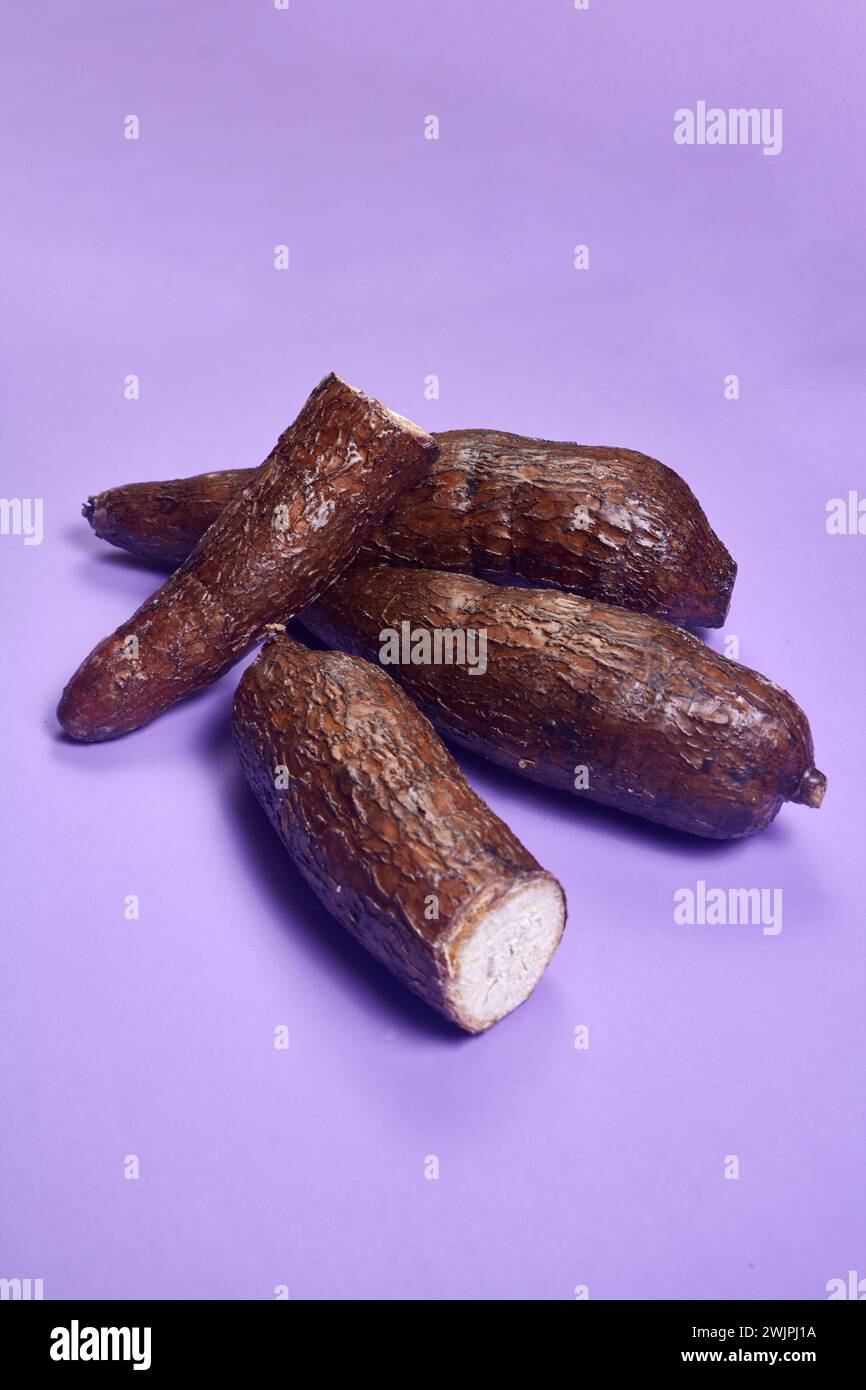Fresh Organic Cassava Root, Manioc Esculenta, yuca On purple Background ...