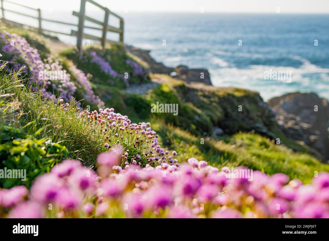 Rough and rocky shore at Malin Head, Ireland's northernmost point, Wild ...