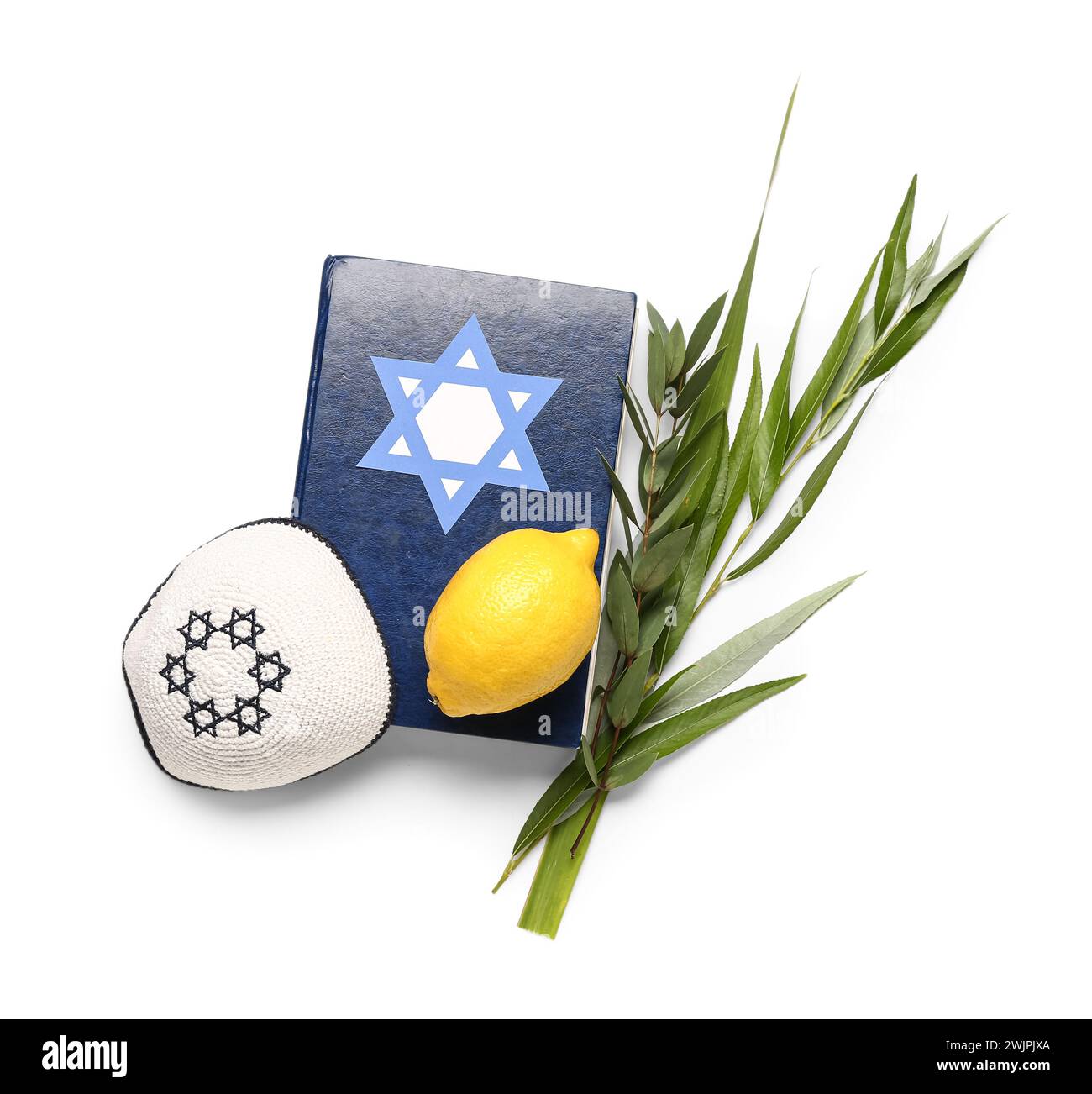 Four species (lulav, hadas, arava, etrog) as Sukkot festival symbol ...