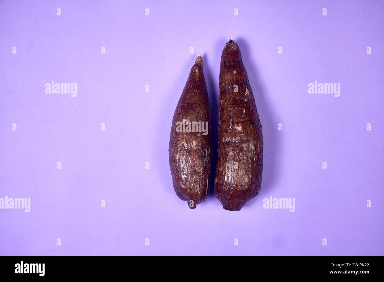 Fresh Organic Cassava Root, Manioc Esculenta, yuca On purple Background ...
