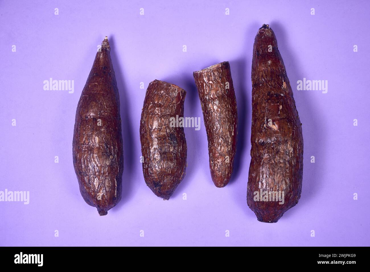 Fresh Organic Cassava Root, Manioc Esculenta, yuca On purple Background ...