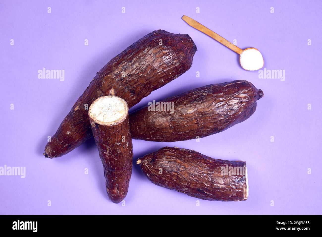 Fresh Organic Cassava Root, Manioc Esculenta, yuca On purple Background ...