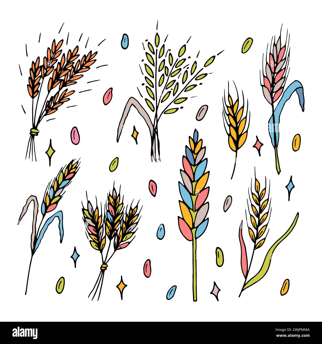 Set of hand drawn wheat ears. Grain spikelets. Doodle, sketch. Bakery ...