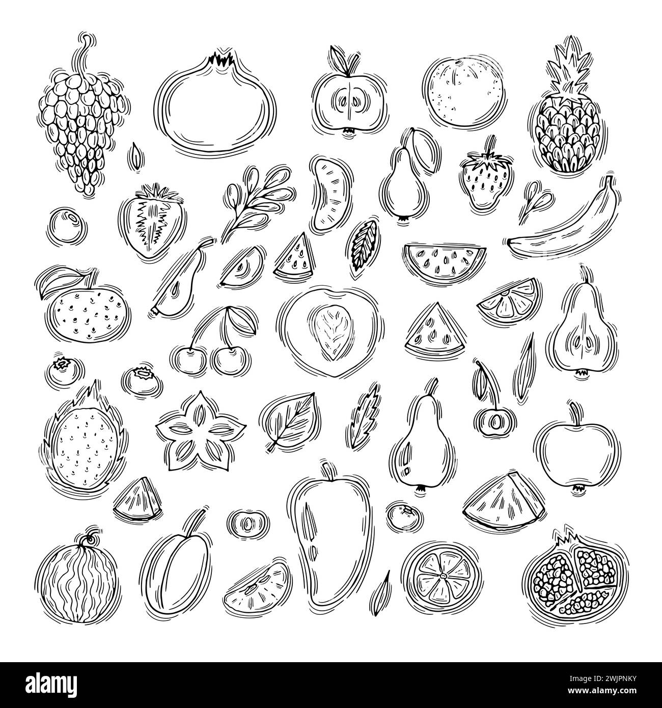 Big set of hand drawn fruit and berries icons. Summer fruit collection ...