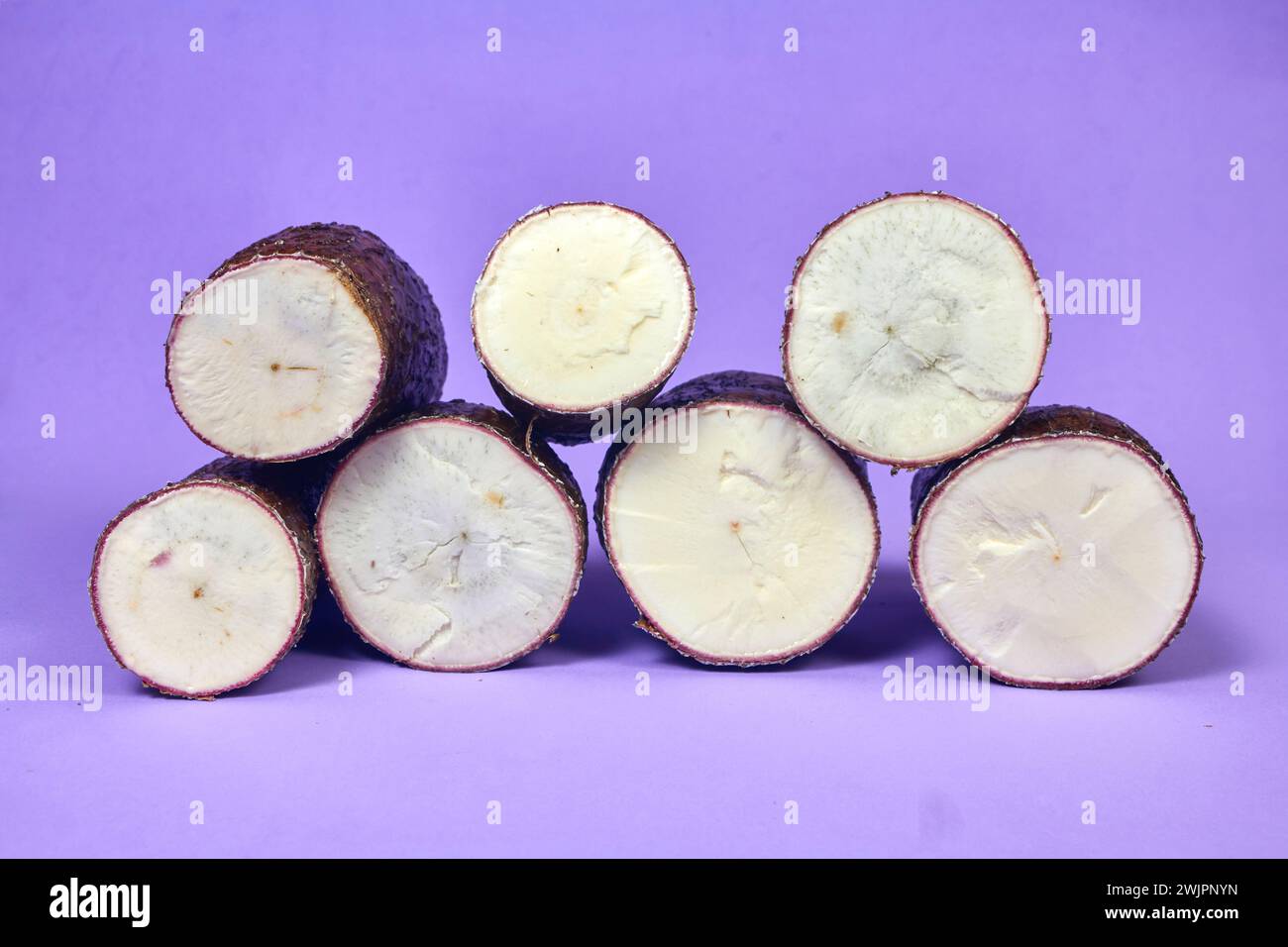 Fresh Organic Cassava Root, Manioc Esculenta, yuca On purple Background ...