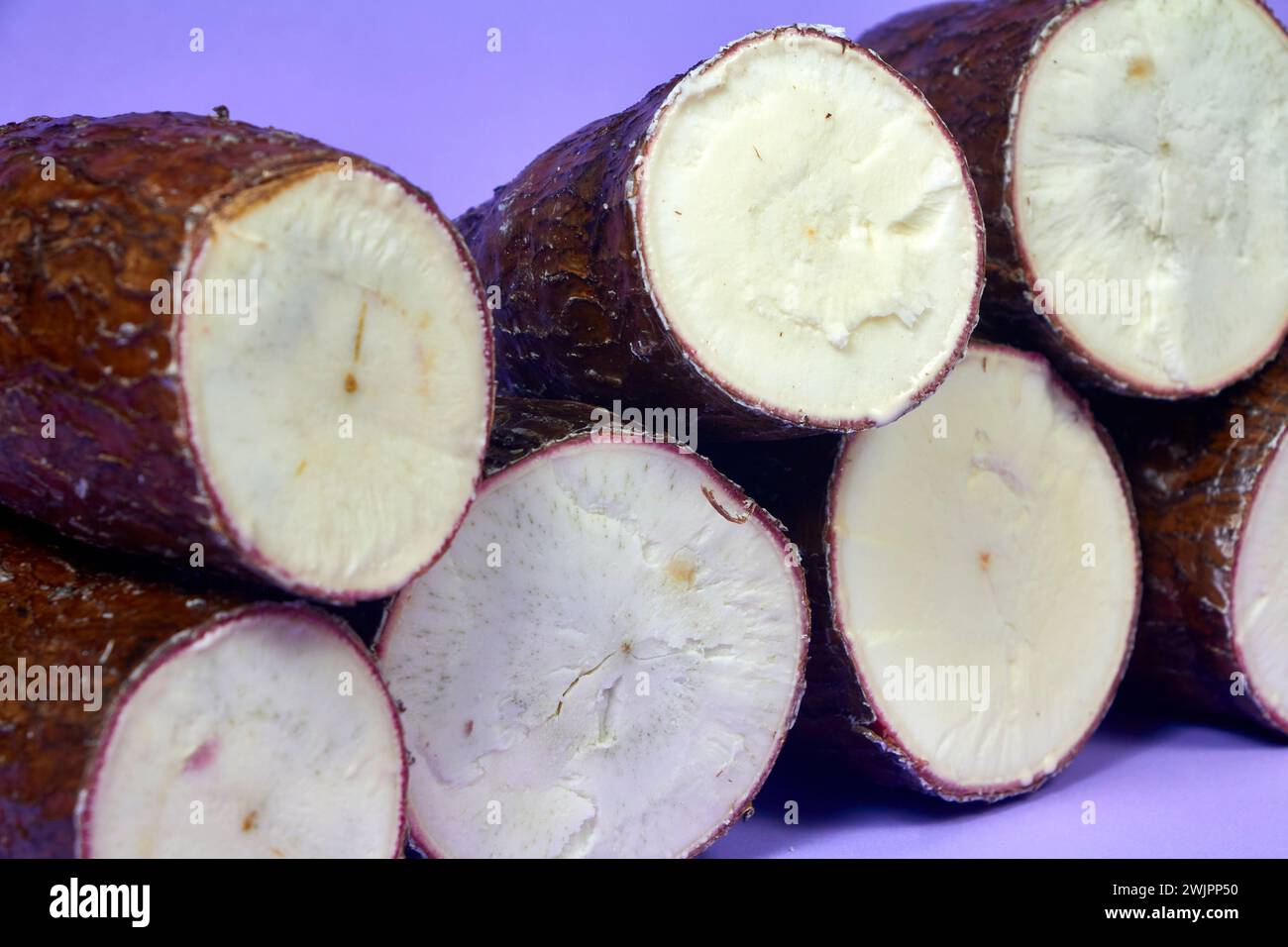 Fresh Organic Cassava Root, Manioc Esculenta, yuca On purple Background ...
