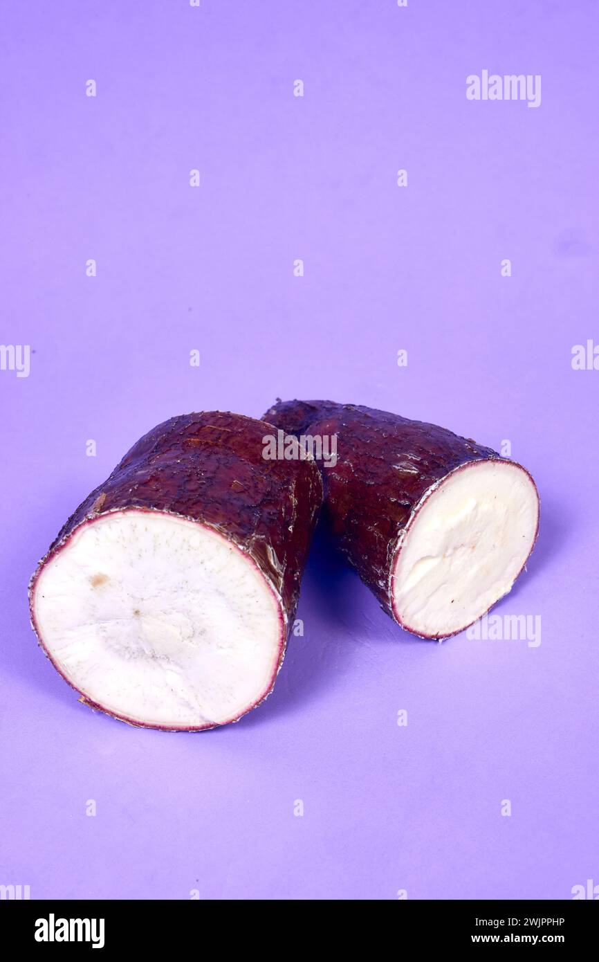 Fresh Organic Cassava Root, Manioc Esculenta, yuca On purple Background ...