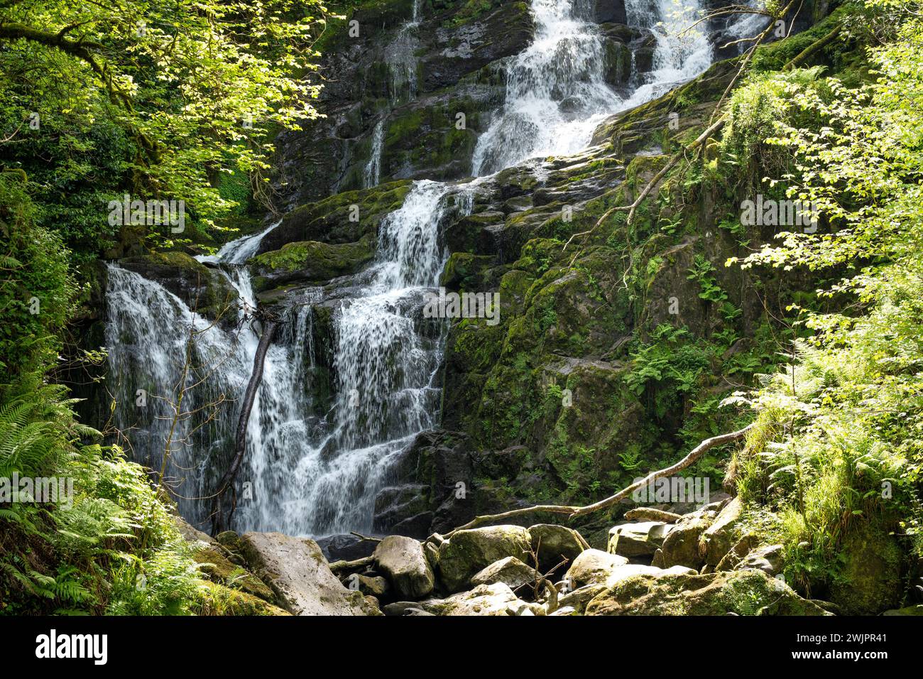 Torc Waterfall, one of most well known tourist attractions in Ireland ...