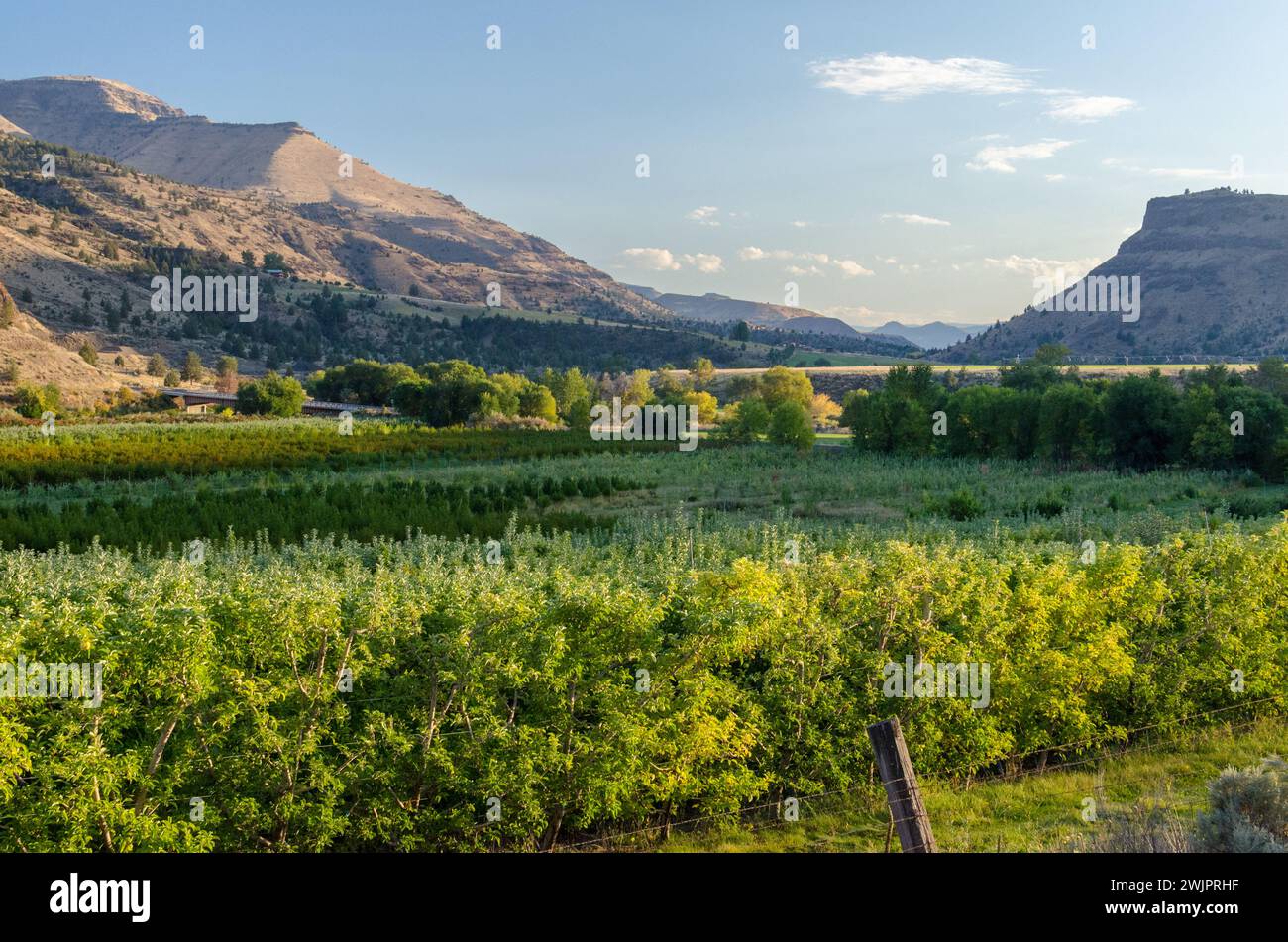 Kimberly grant hi-res stock photography and images - Alamy