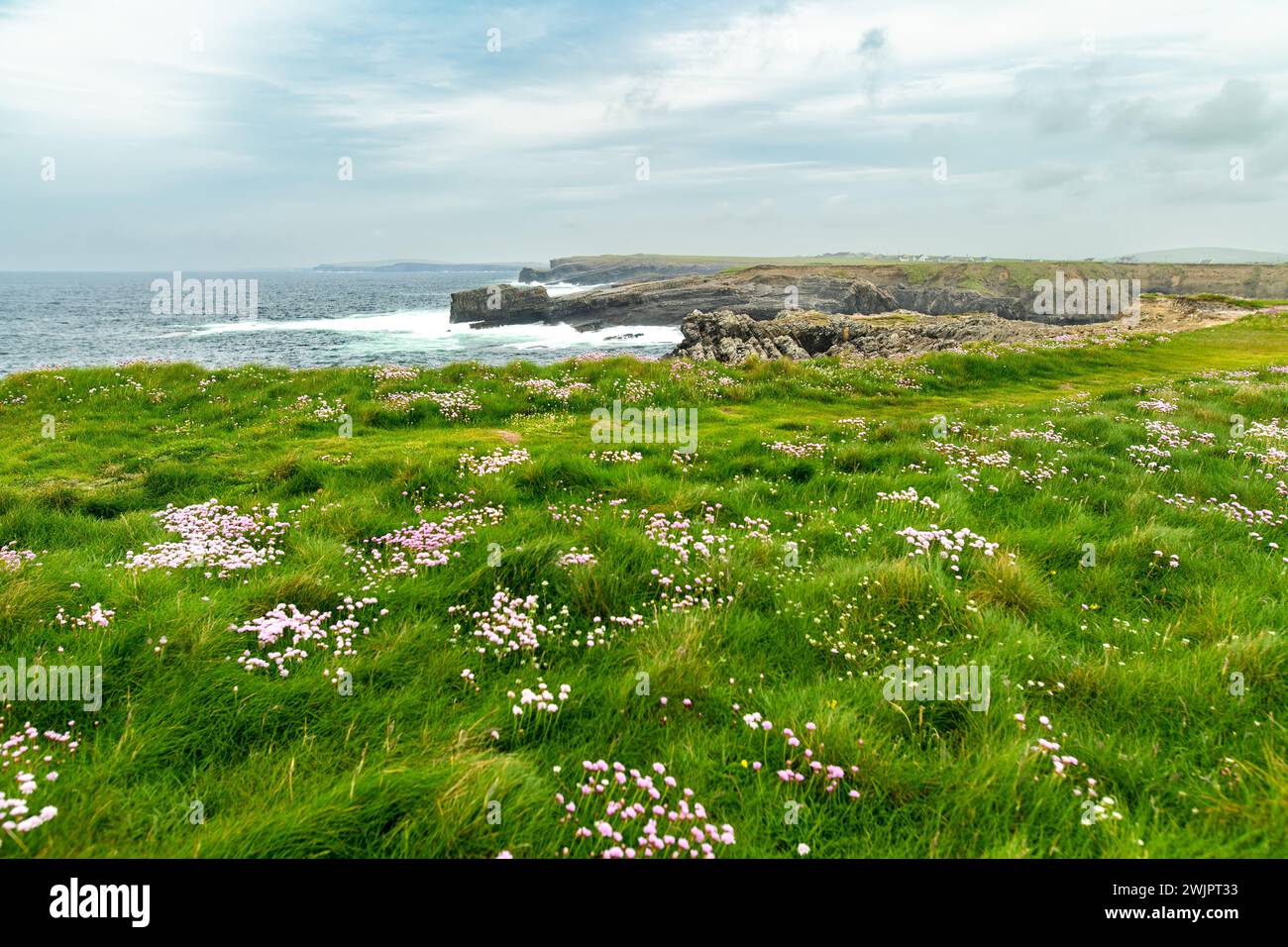 Aerial view of spectacular Kilkee Cliffs, situated at the Loop Head ...