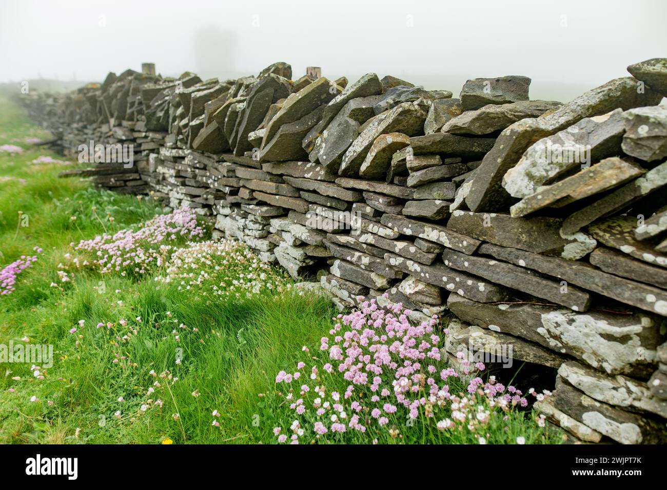 Famous Irish dry-stone wall, built with a variety of stones to separate ...