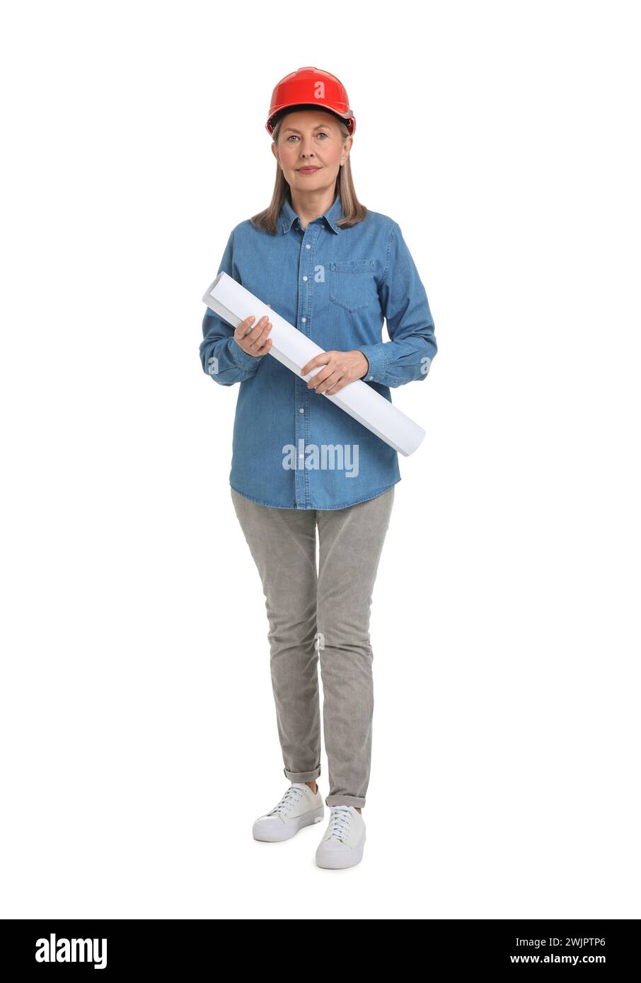 Architect in hard hat with draft on white background Stock Photo - Alamy