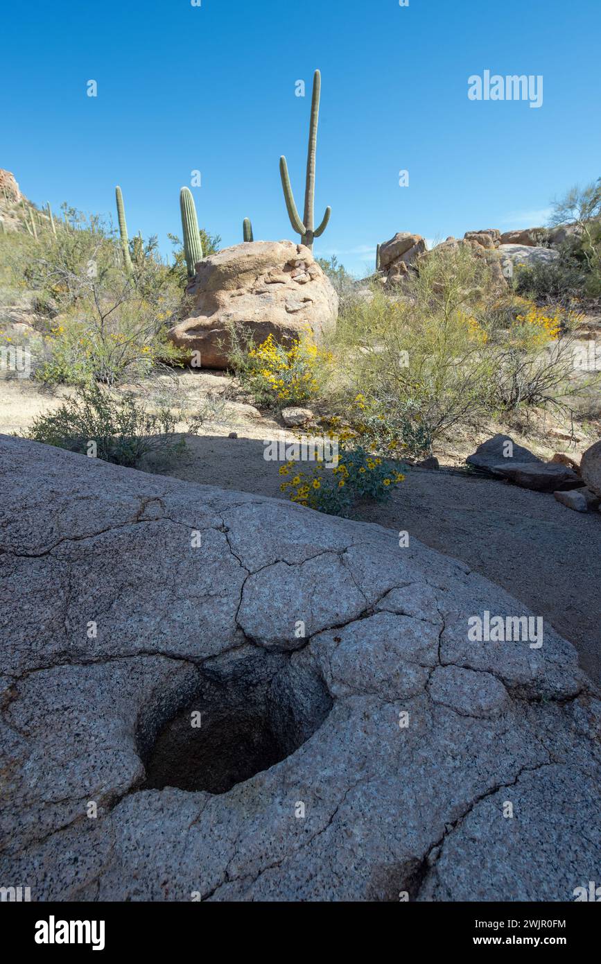 Native American grinding stone hole Stock Photo - Alamy