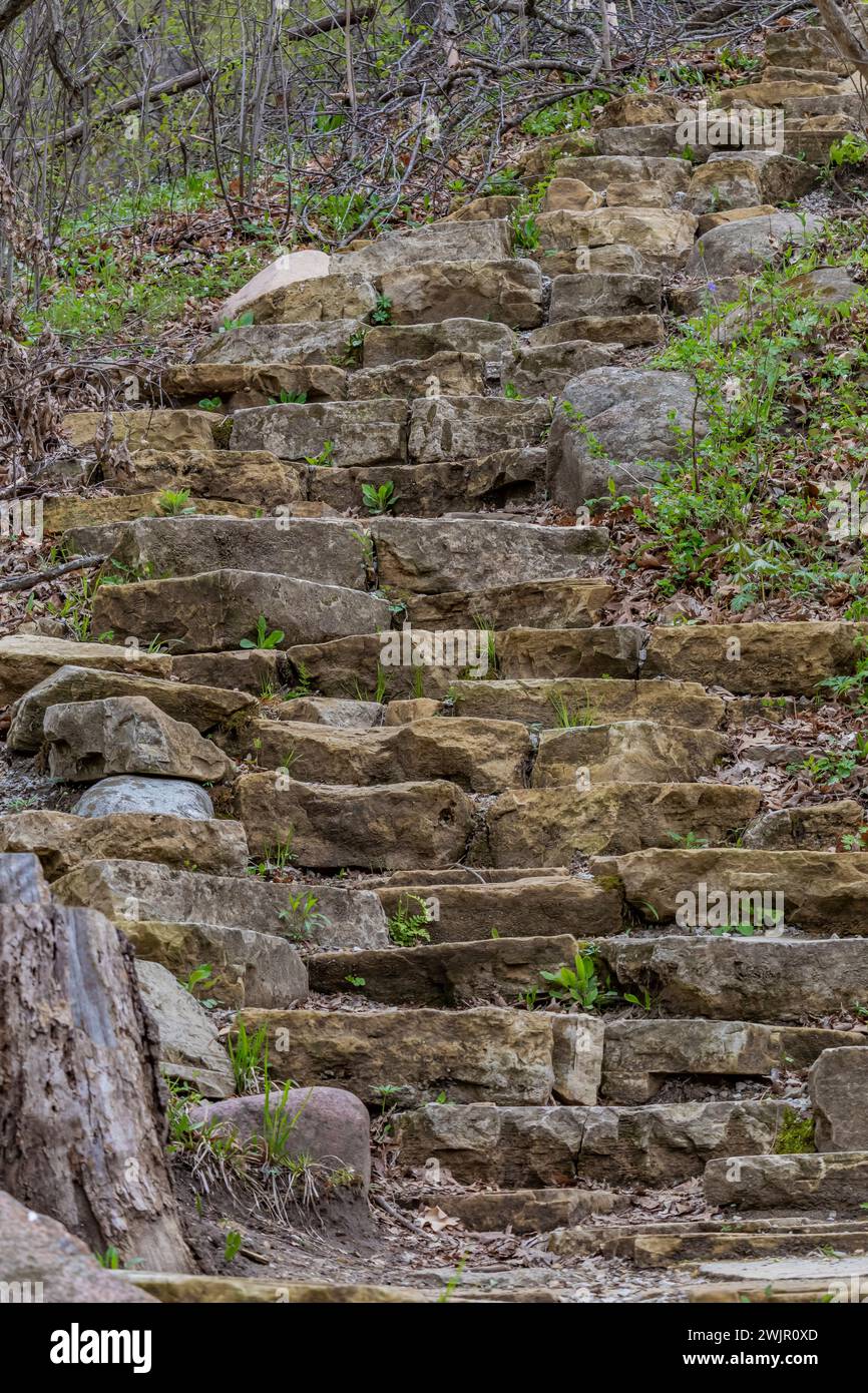 Trail with stone steps built in the 1930s by the CCC in Ledges State ...