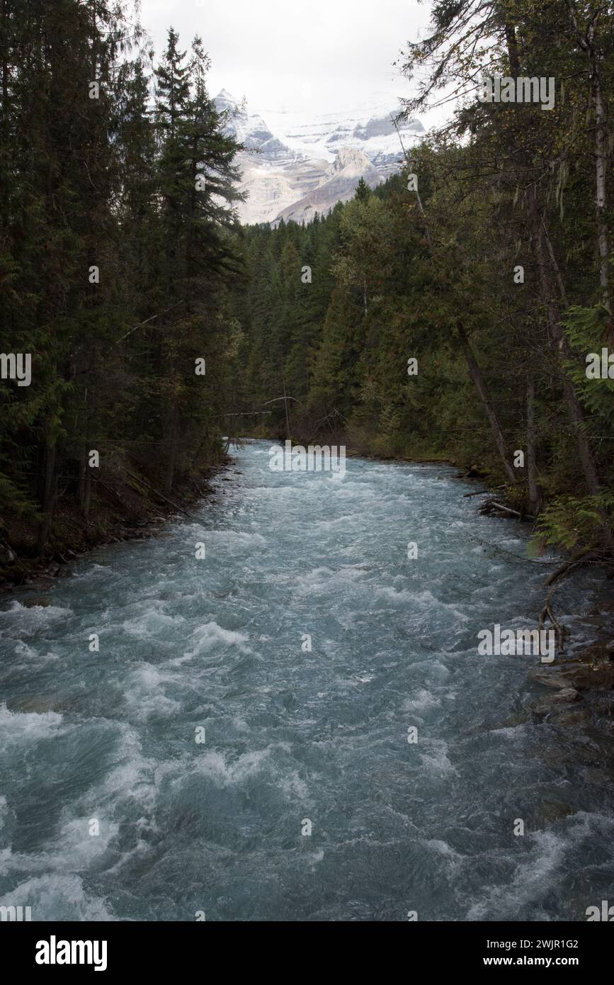Robson River is running towered by the highest mountain of the Canadian ...