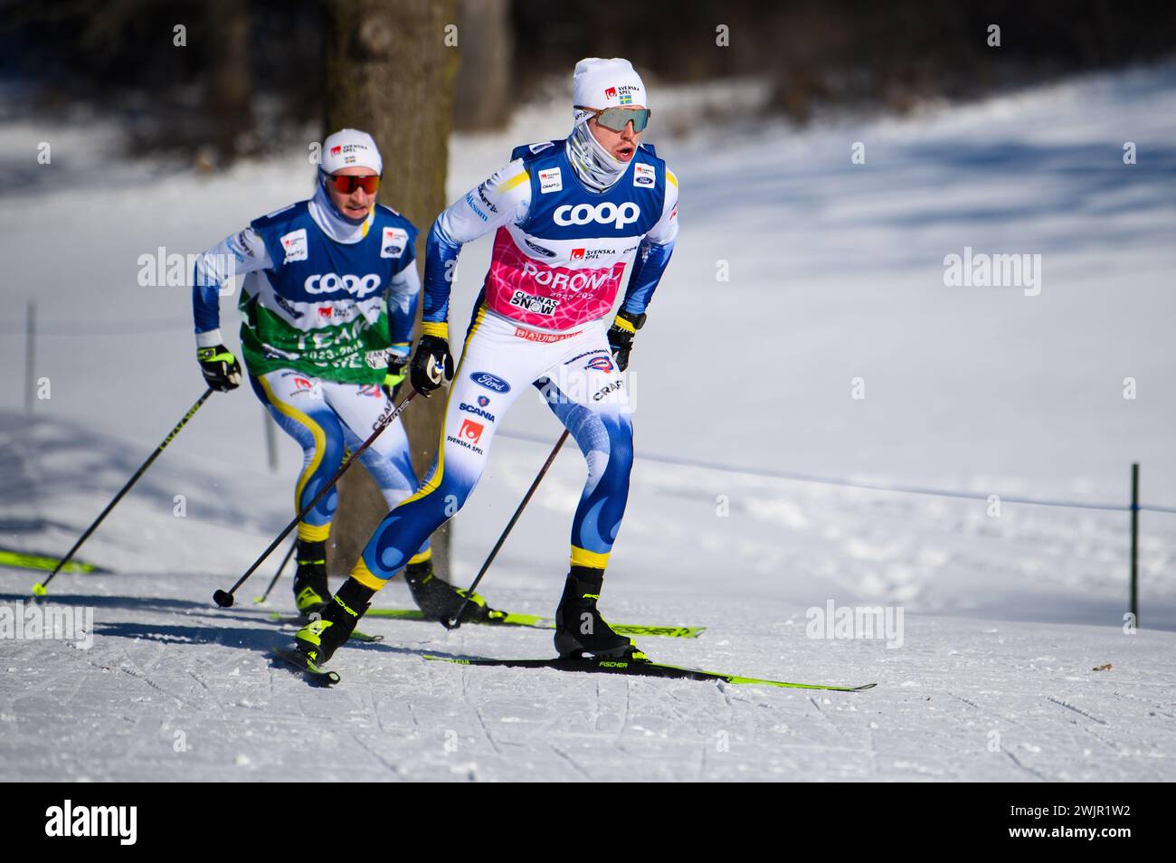 Swedish skier William Poroma preps for FIS World Cup cross country ski ...