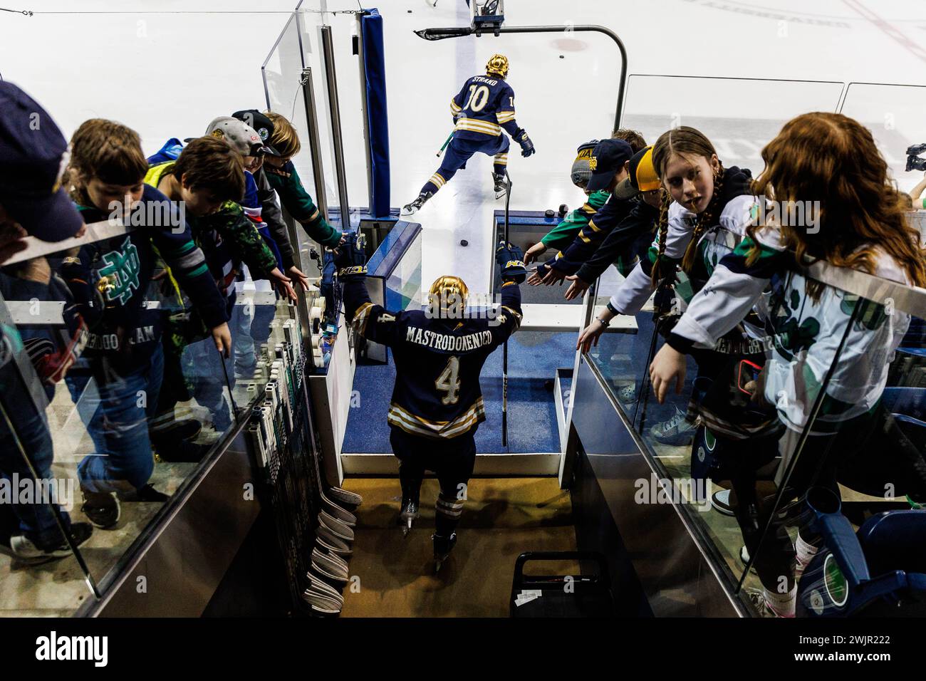 Compton family ice arena hi-res stock photography and images - Alamy