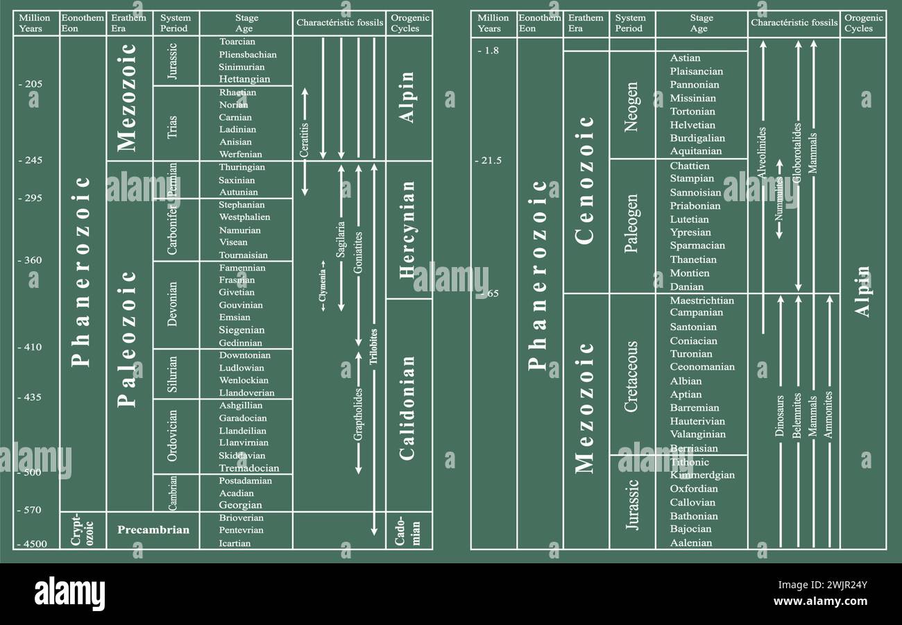 Geochronological scale, illustration Stock Photo - Alamy