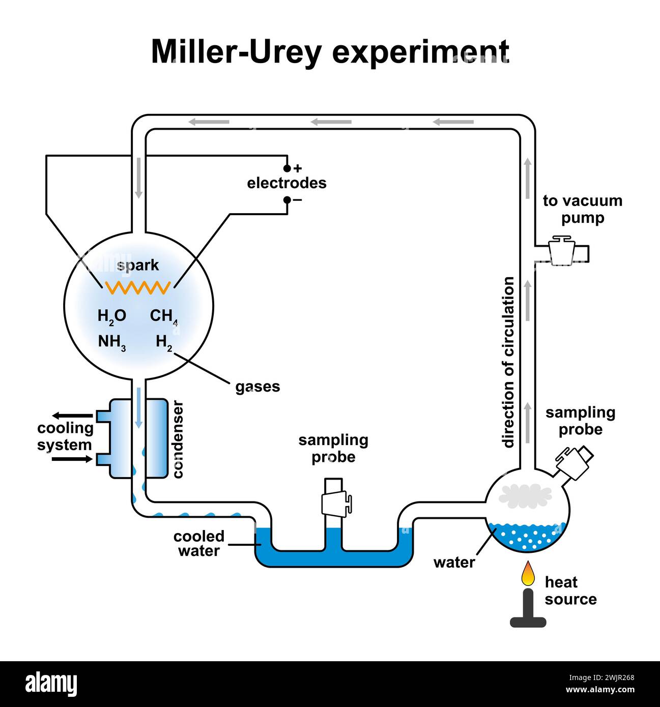 Miller-Urey experiment, illustration Stock Photo - Alamy Miller-Urey experiment, illustration Stock Photo - Alamy