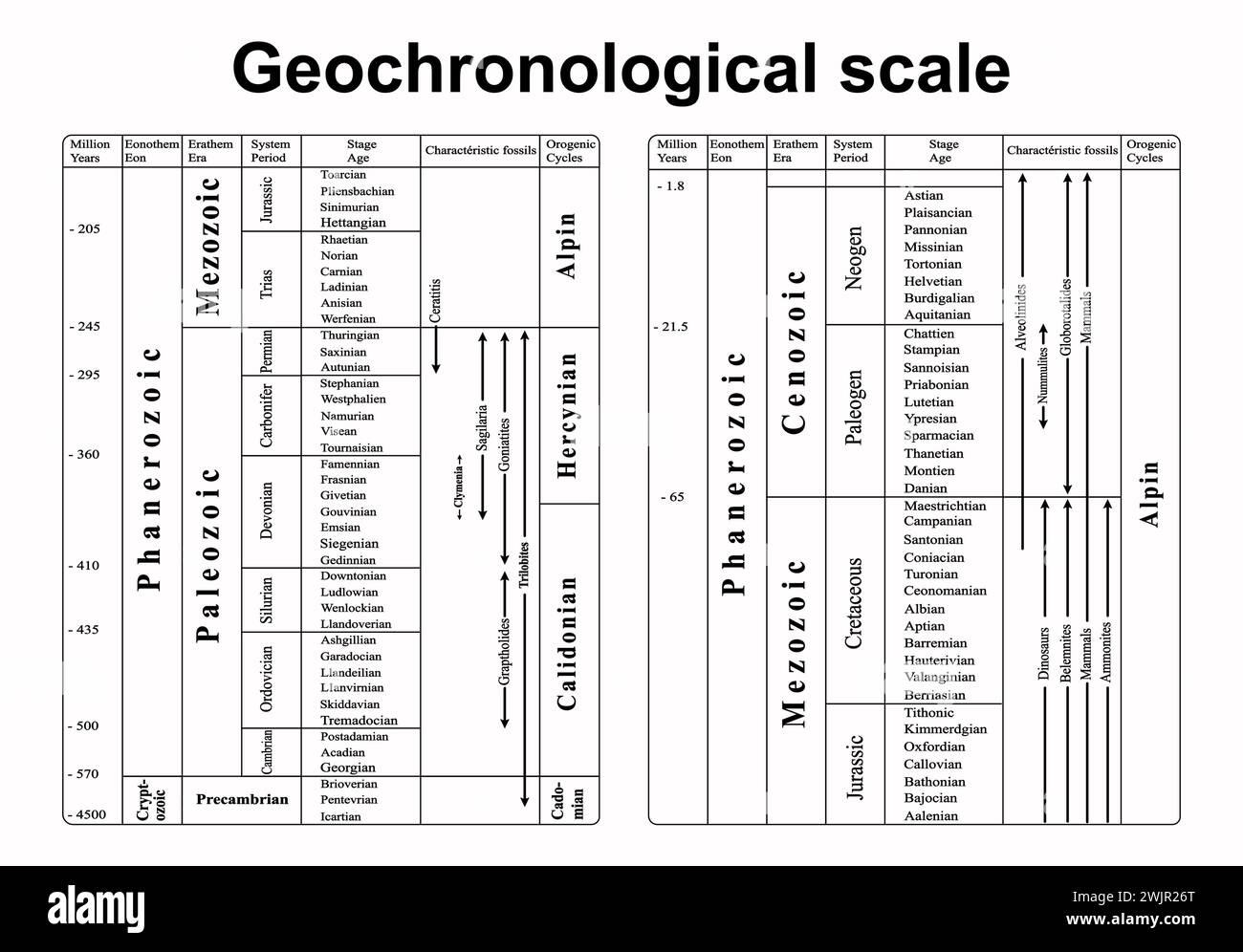 Geochronological scale, illustration Stock Photo - Alamy
