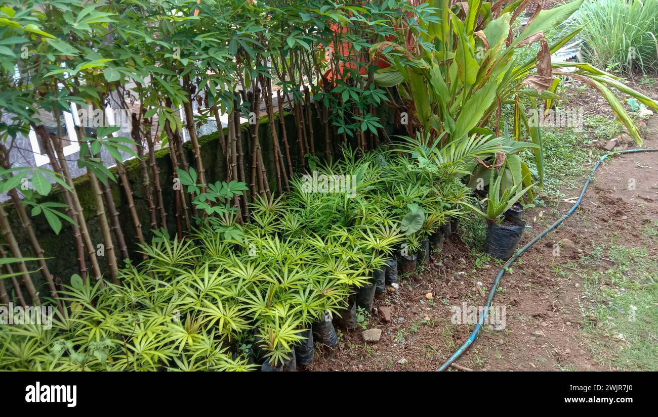 Rattan accessories hi-res stock photography and images - Alamy