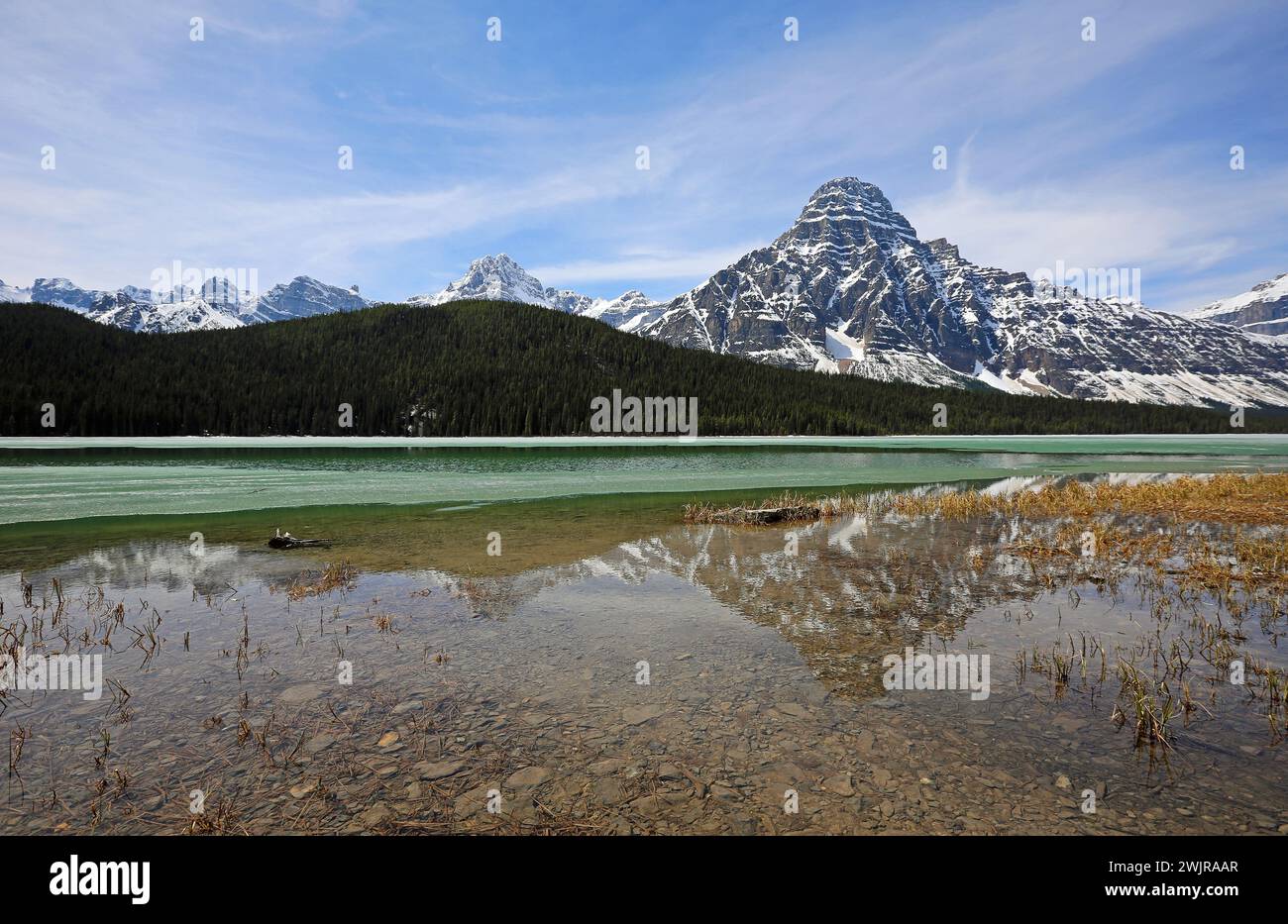 Mount Chephren reflection - Waterfowl Lake, Canada Stock Photo - Alamy