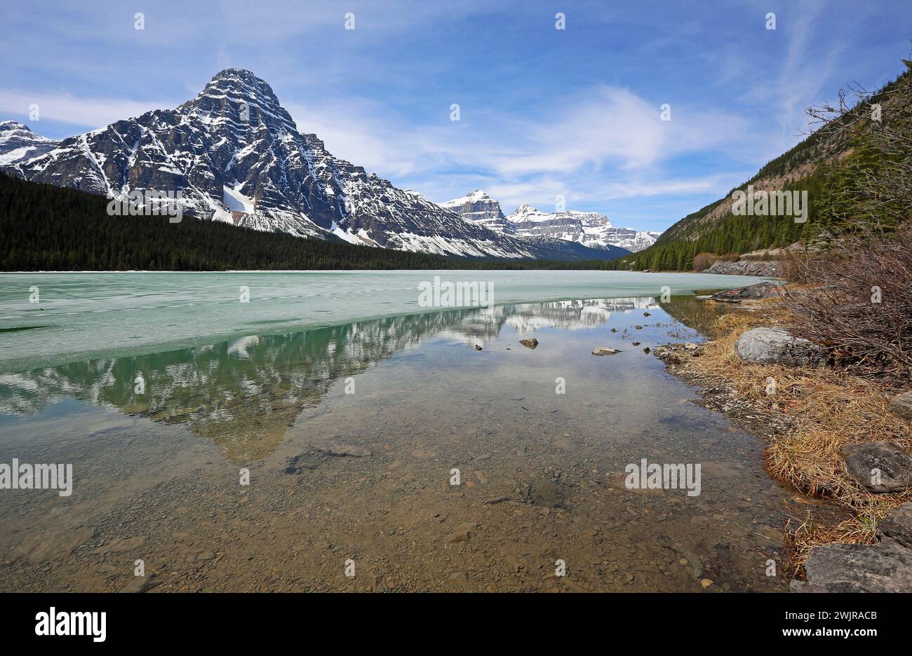 Waterfowl landscape hi-res stock photography and images - Alamy
