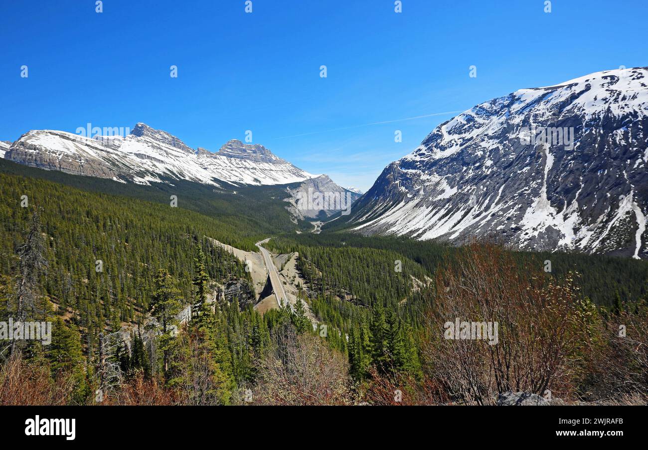 Landscape with Icefield Parkway, Canada Stock Photo - Alamy
