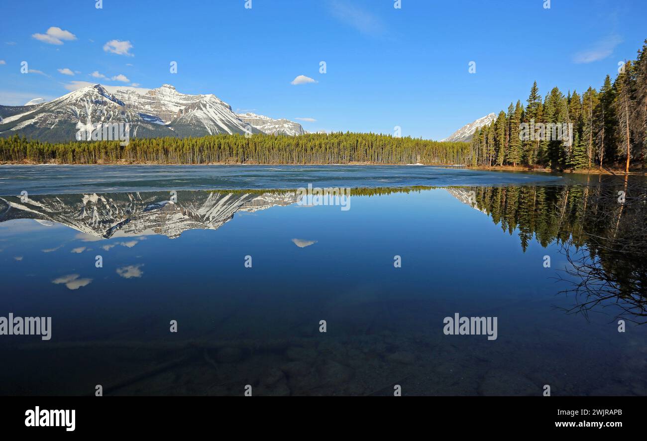 Mount Niblock and trees, Herbert Lake, Canada Stock Photo - Alamy